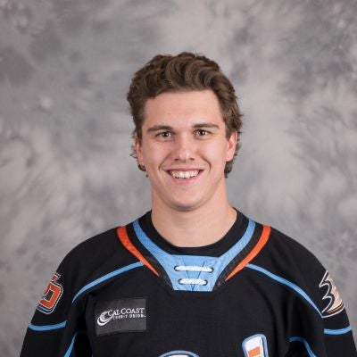 Team | Hartford Wolf Pack